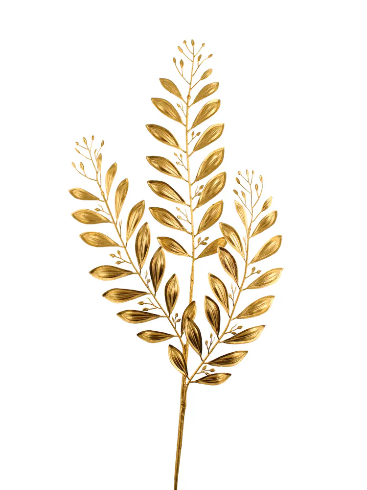 60cm Princess Fern | SageDecor